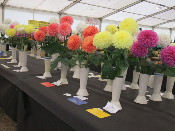 Malvern Autumn Show